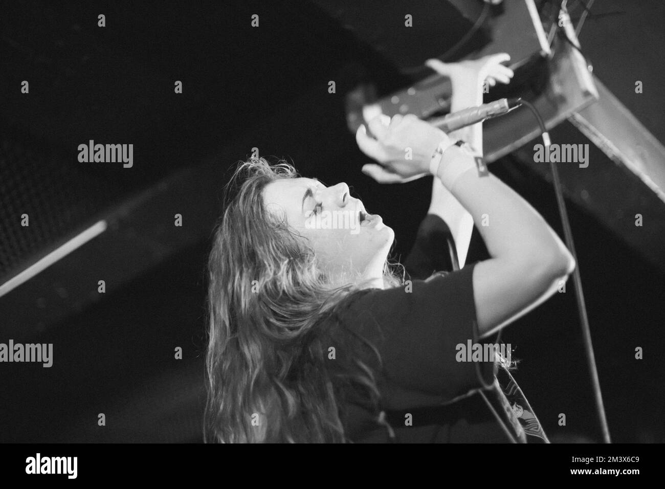 Marmozets bristol hi-res stock photography and images - Alamy