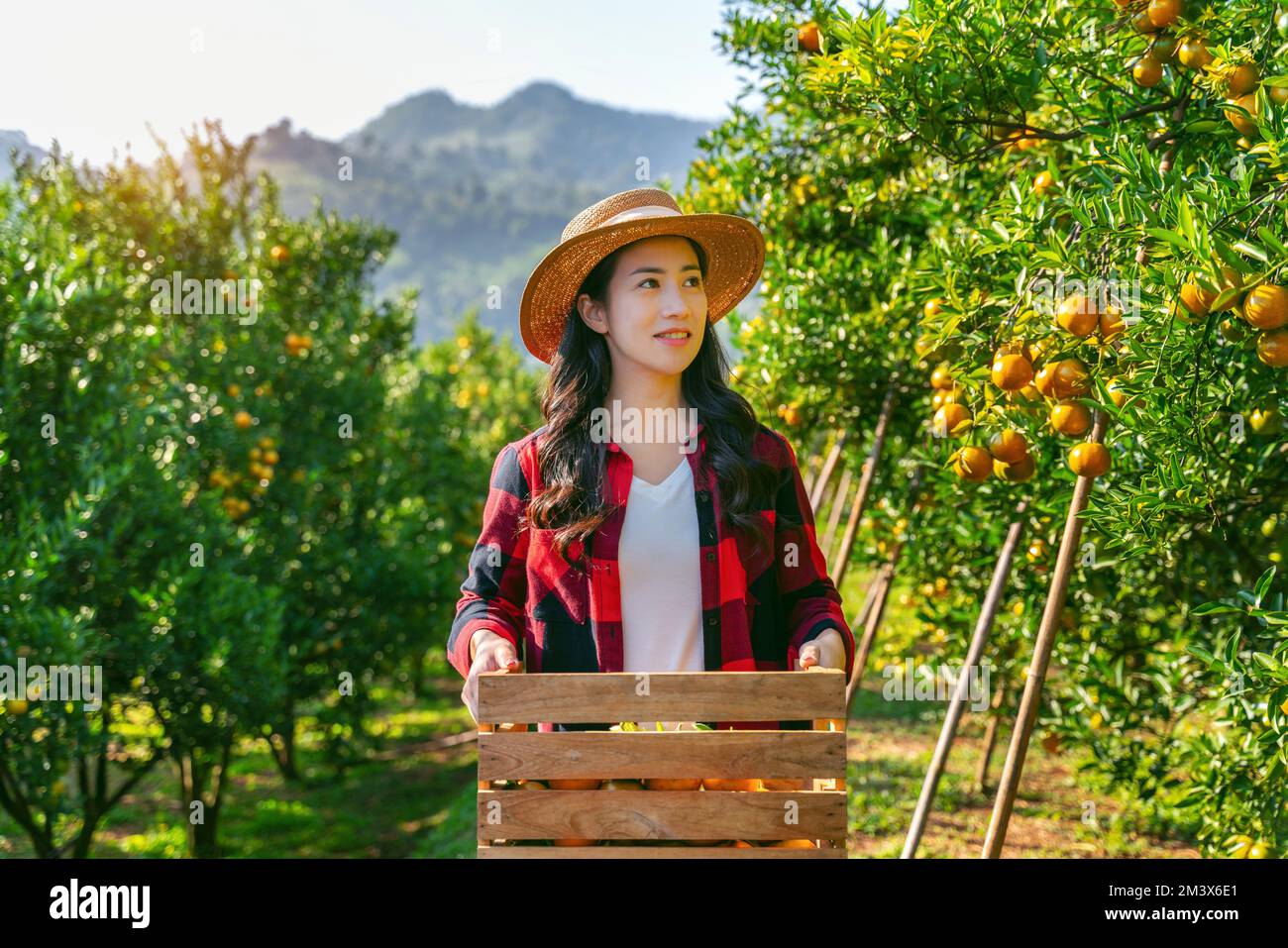 Woman gardener farmer basket hi-res stock photography and images - Alamy
