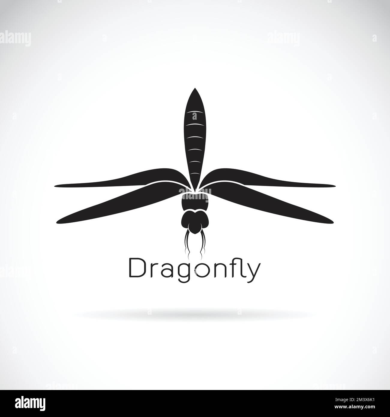 Vector of dragonfly design on white background. Easy editable layered ...