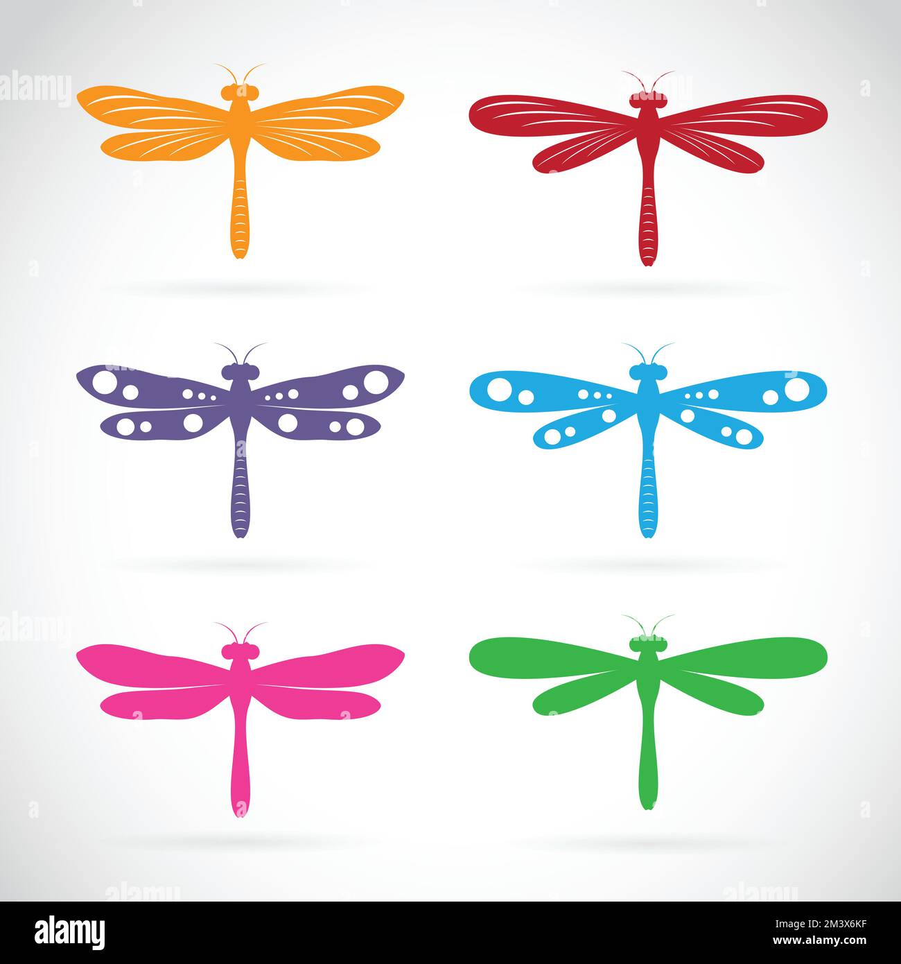 Vector group of colorful dragonfly on white background. Easy editable ...