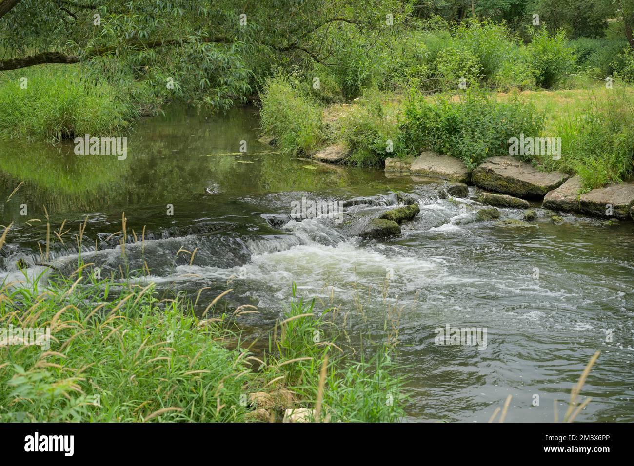 Fluss und wald hi-res stock photography and images - Alamy