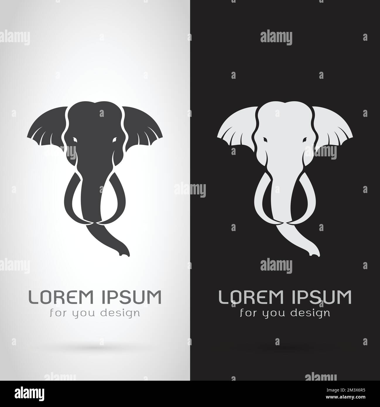 Vector of elephant head design on white background and black background ...