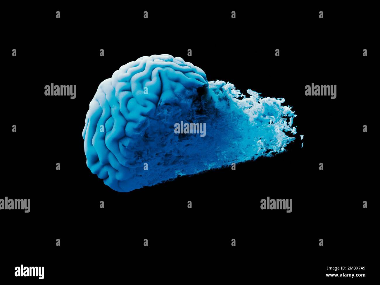 Memory lapses, forgetting things, degenerative disease. Brain problems ...