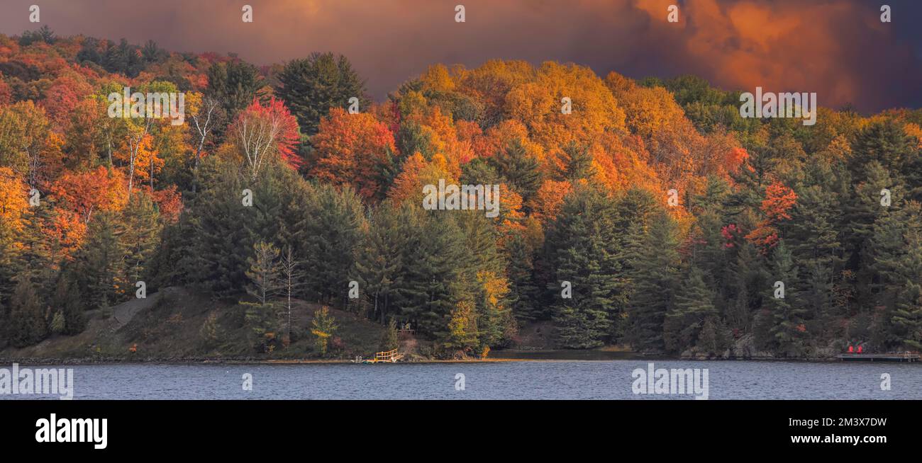 Fall colours along the Gatineau river, Quebec, Canada Stock Photo - Alamy