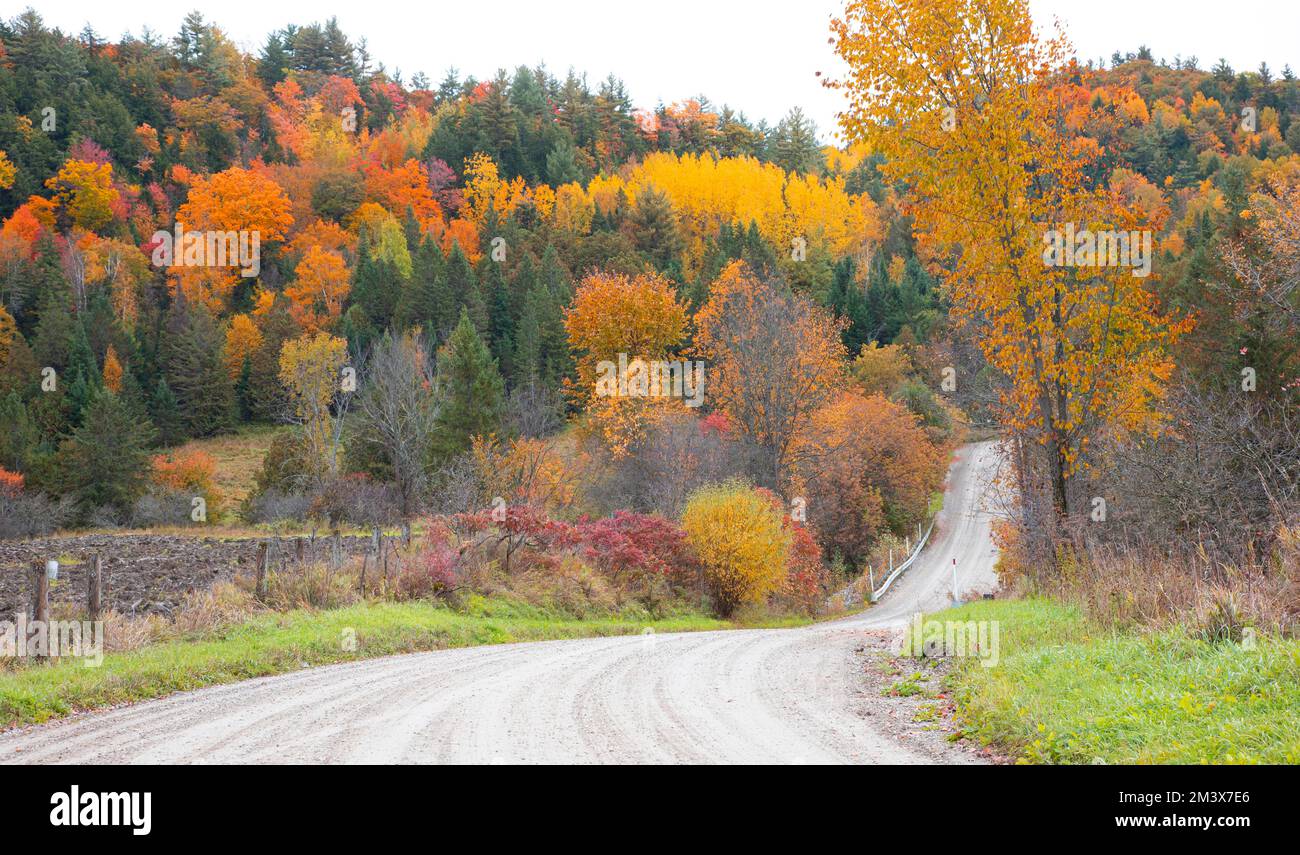 Driving along an autumn country road, Chelsea, Quebec, Canada Stock ...