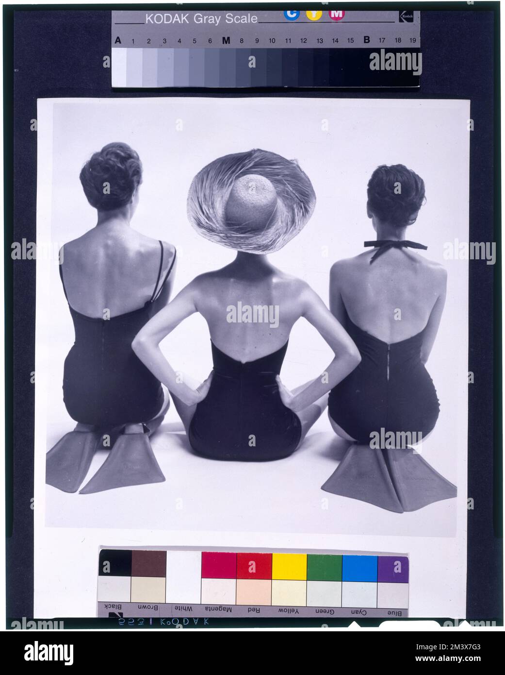 Back view of fashion models in swim suits, two kneeling wearing swim ...