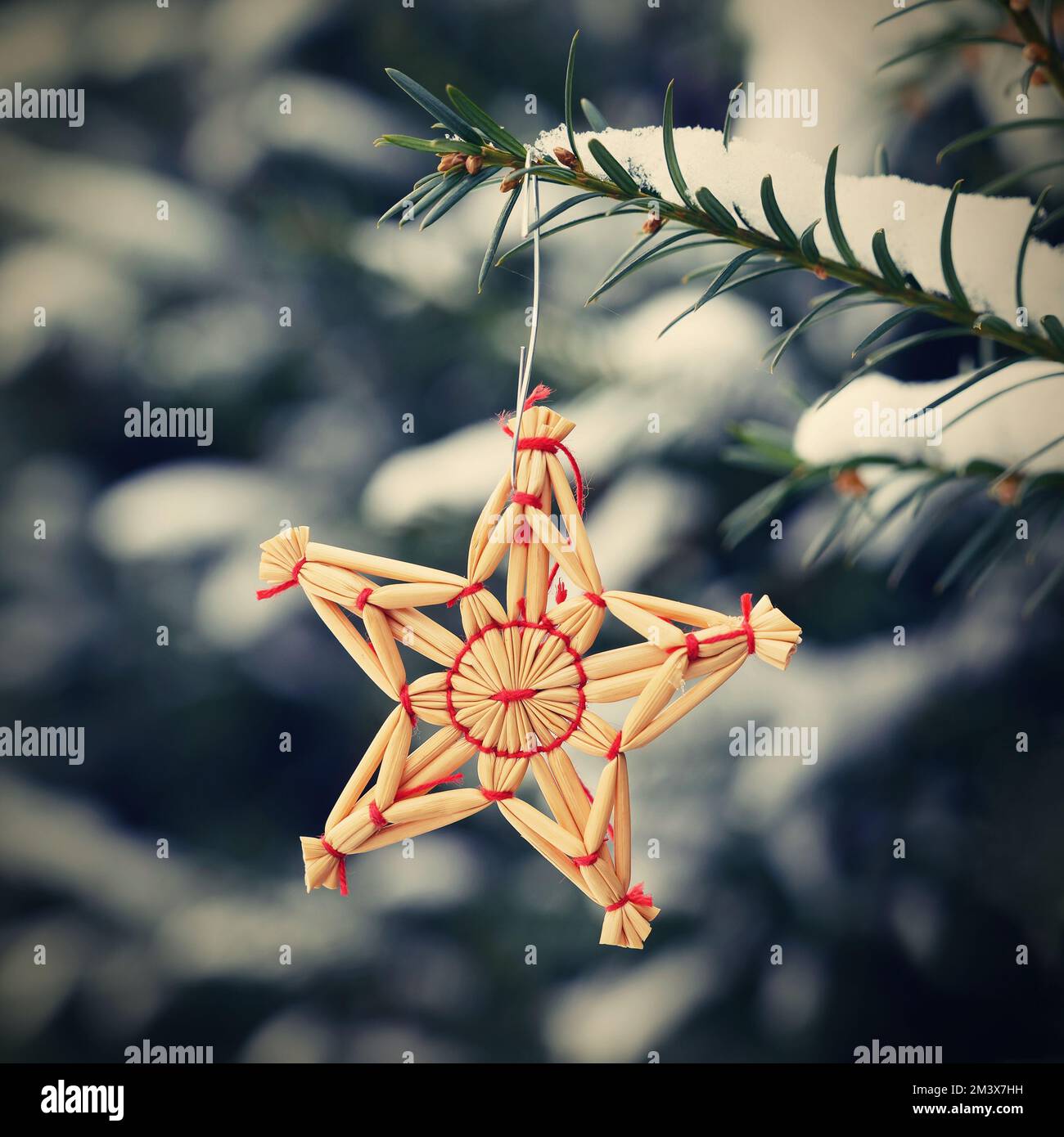 Christmas background with tree and natural old straw decoration. Winter ...