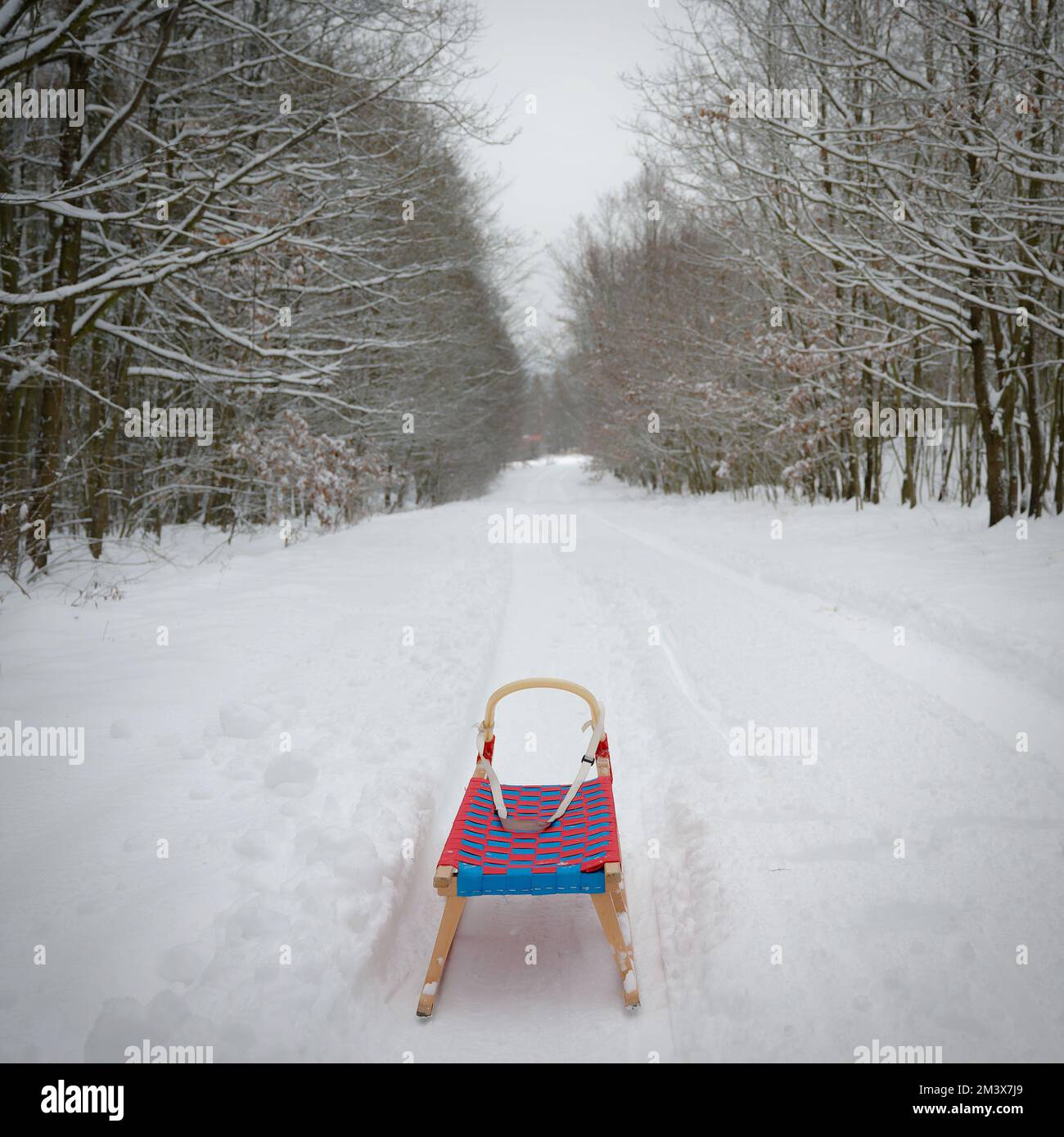 Winter background in nature with sled. Trees and snowy landscape during ...