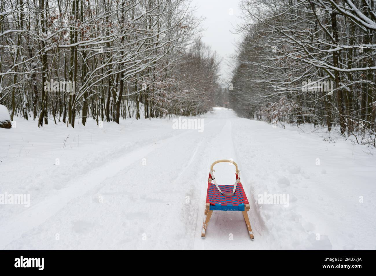 Winter background in nature with sled. Trees and snowy landscape during ...