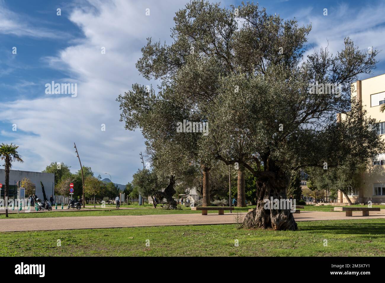 Uib campus hi-res stock photography and images - Alamy