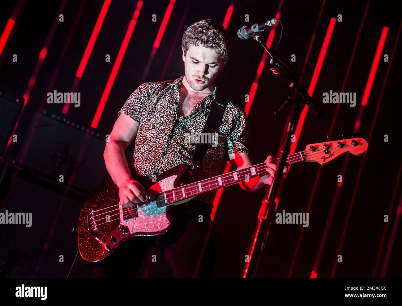 Royal blood shoot hi-res stock photography and images - Alamy