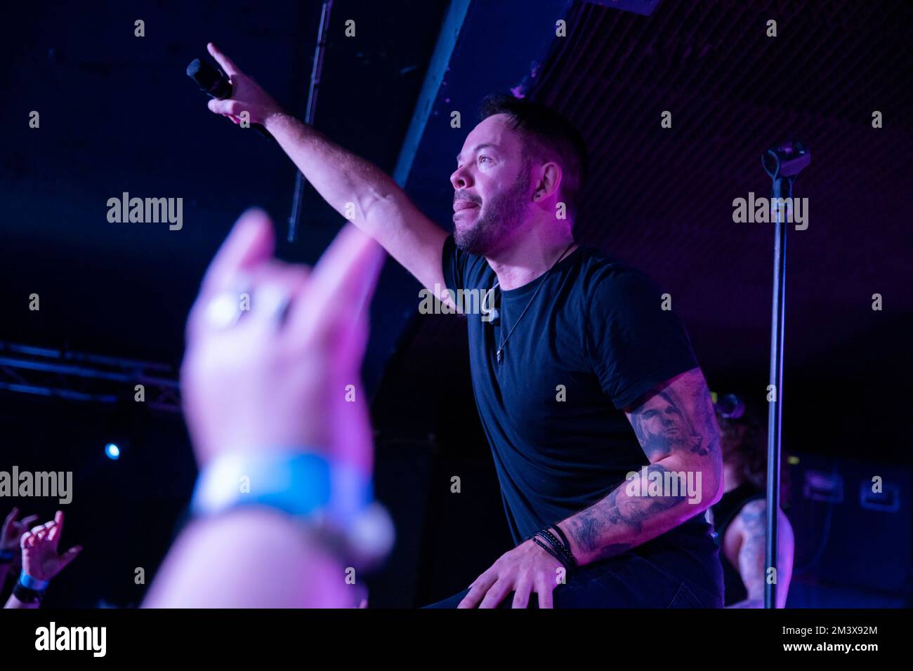 Those damn crows playing live hi-res stock photography and images - Alamy