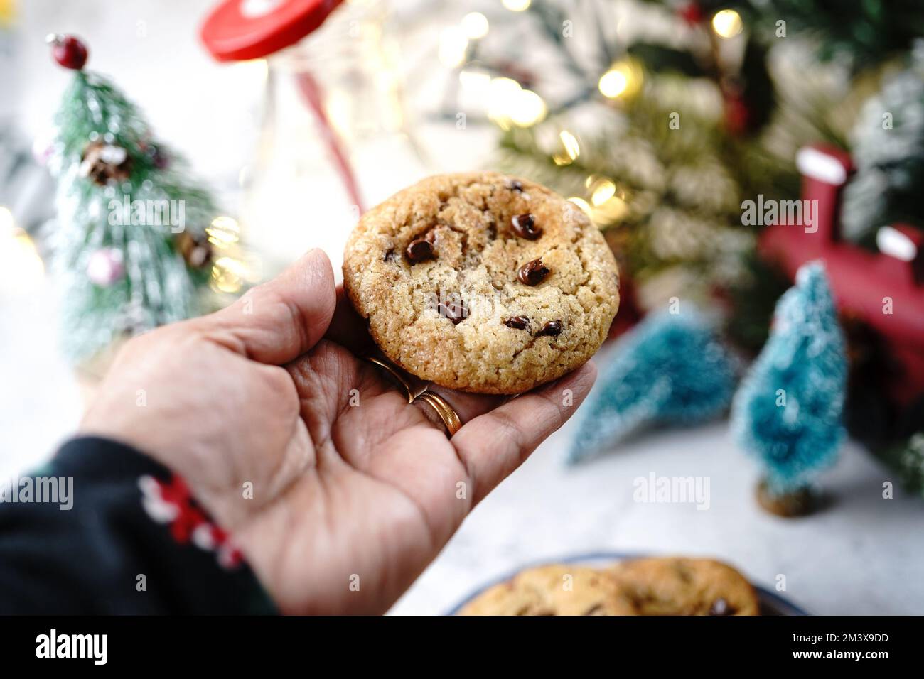 Hand holding chocolate chip cookie hi-res stock photography and images ...