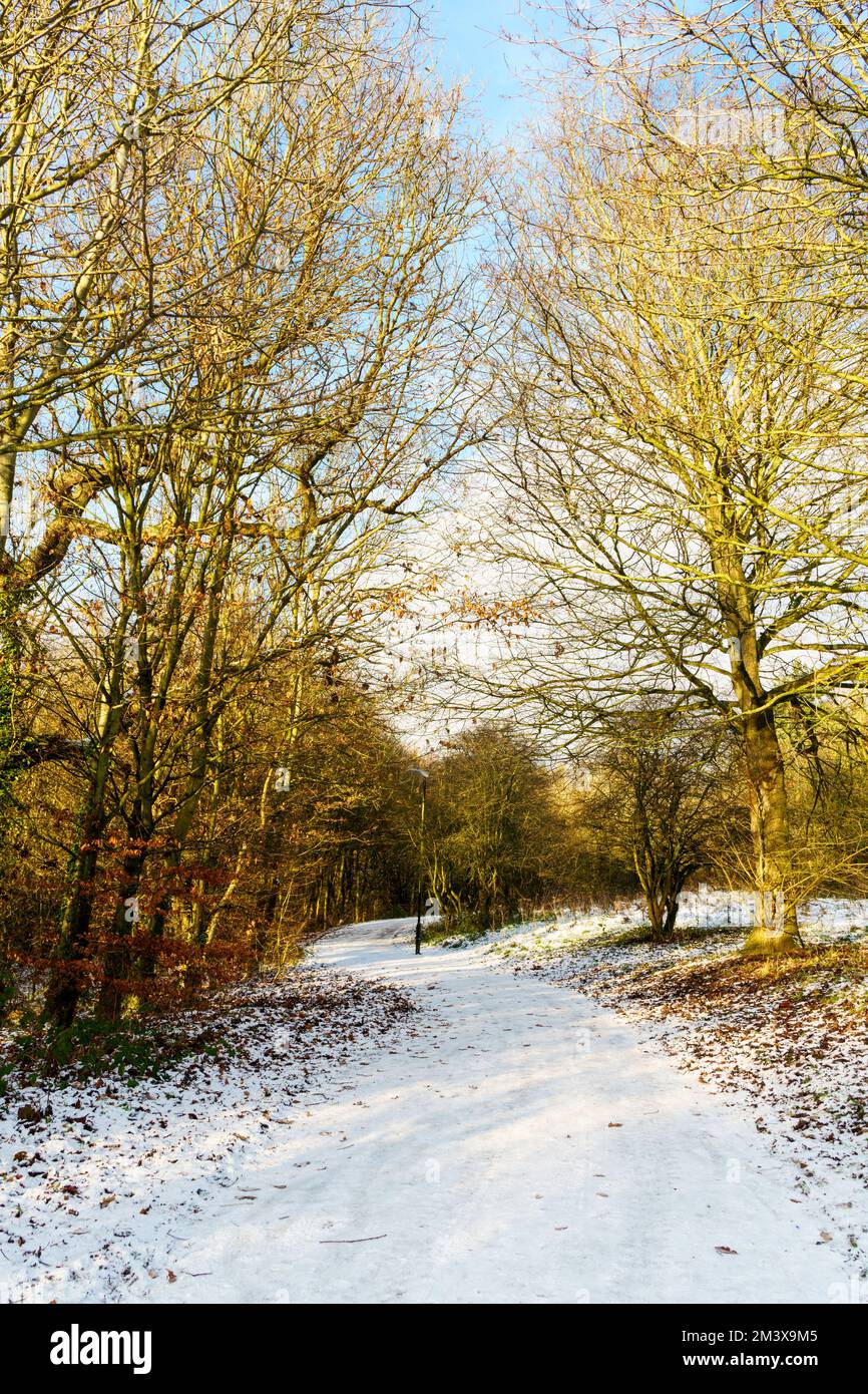 Winter view of the Princess Anne park in Washington, north east England ...