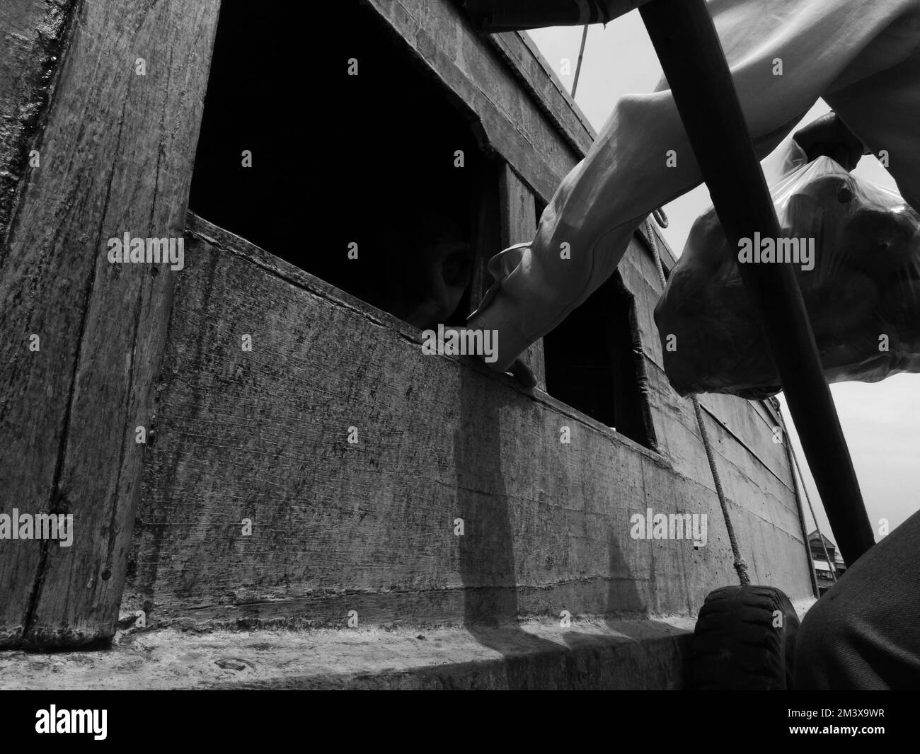 A man reaching out of a window to pet a dog Stock Photo - Alamy