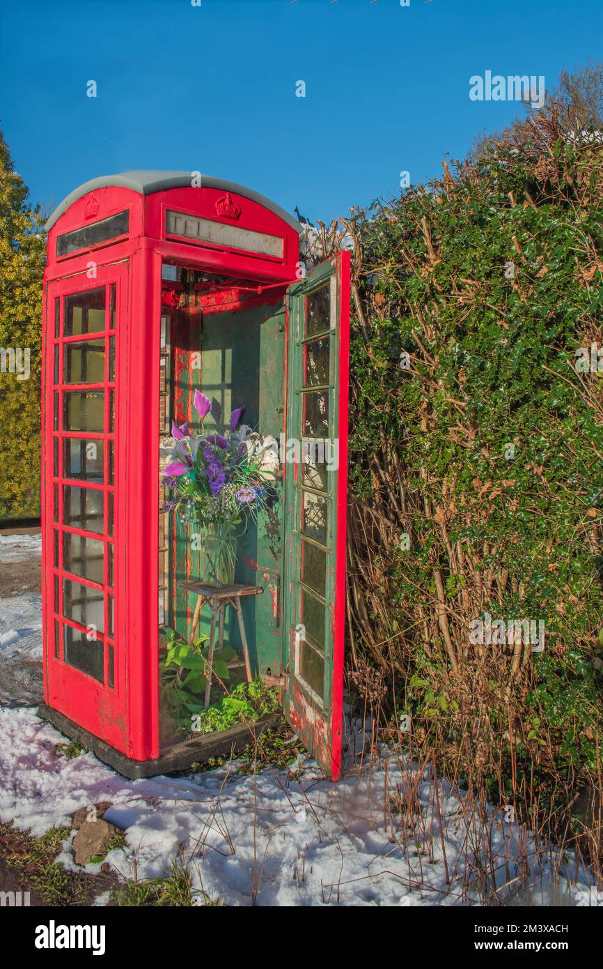 Flowers have been placed inside an unused red British telephone box on ...