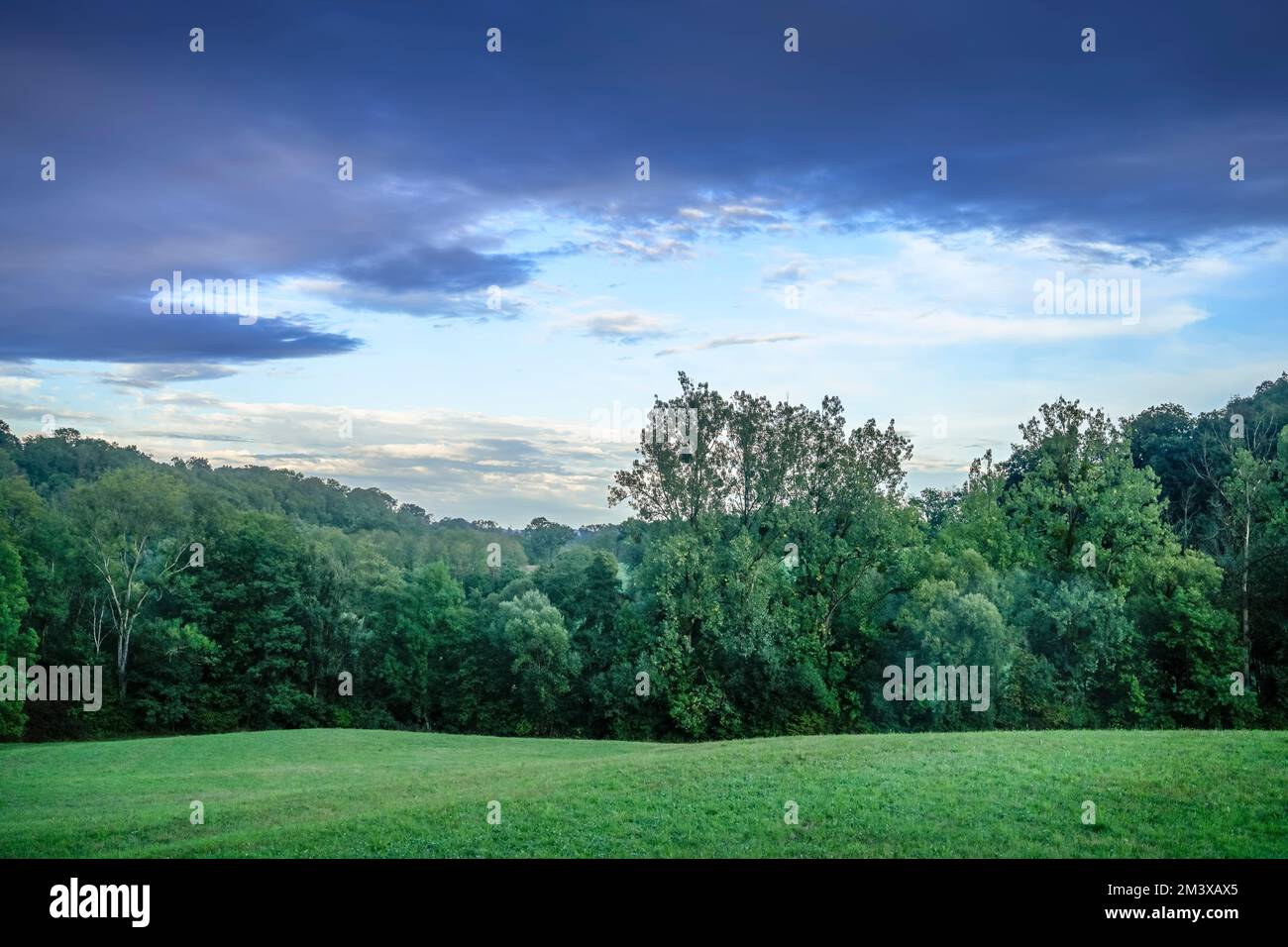 Wald, Wiesen, nahe Burgstetten, Rems-Murr-Kreis, Baden-Württemberg ...