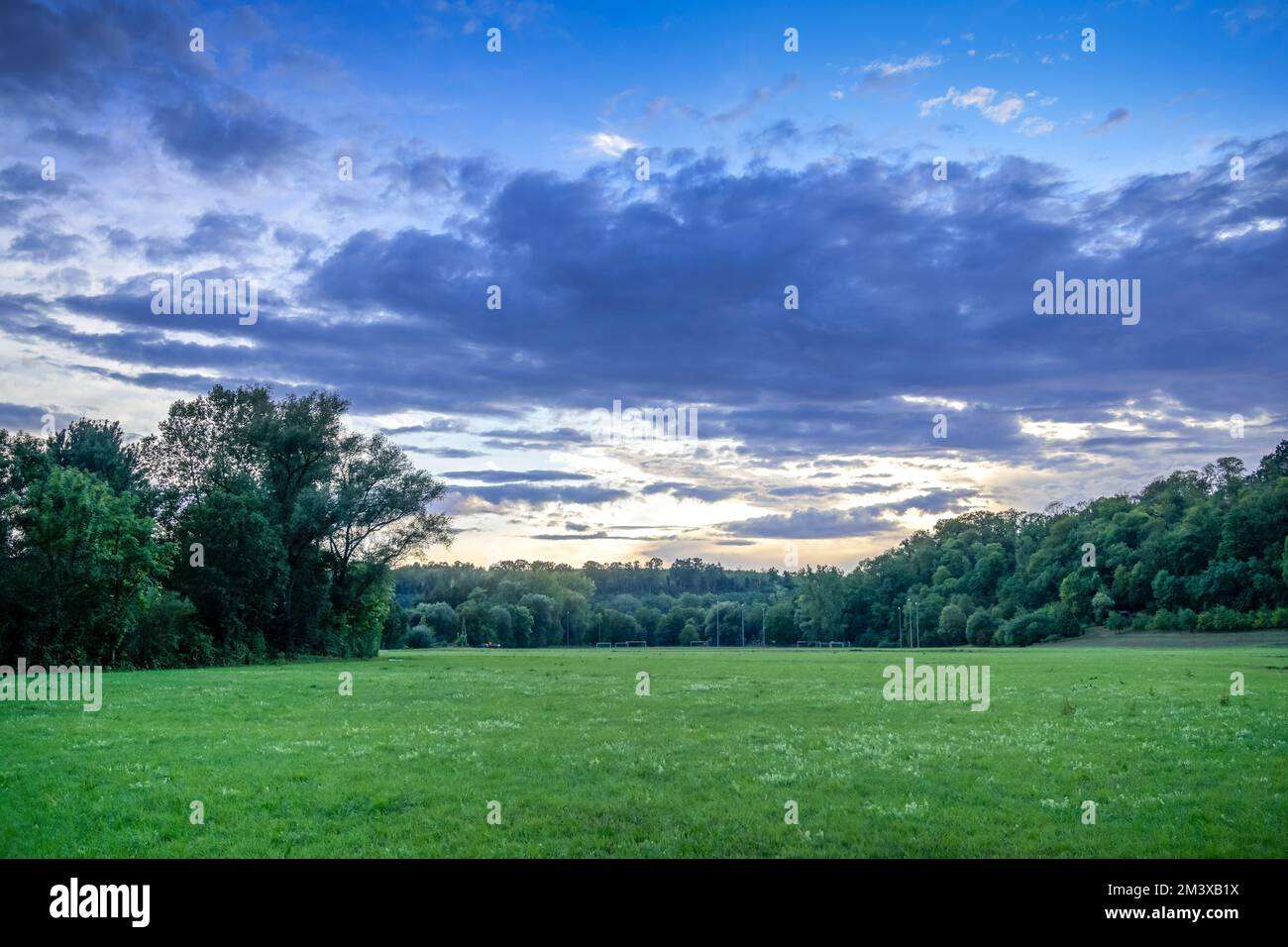 Wiesen wald hi-res stock photography and images - Alamy