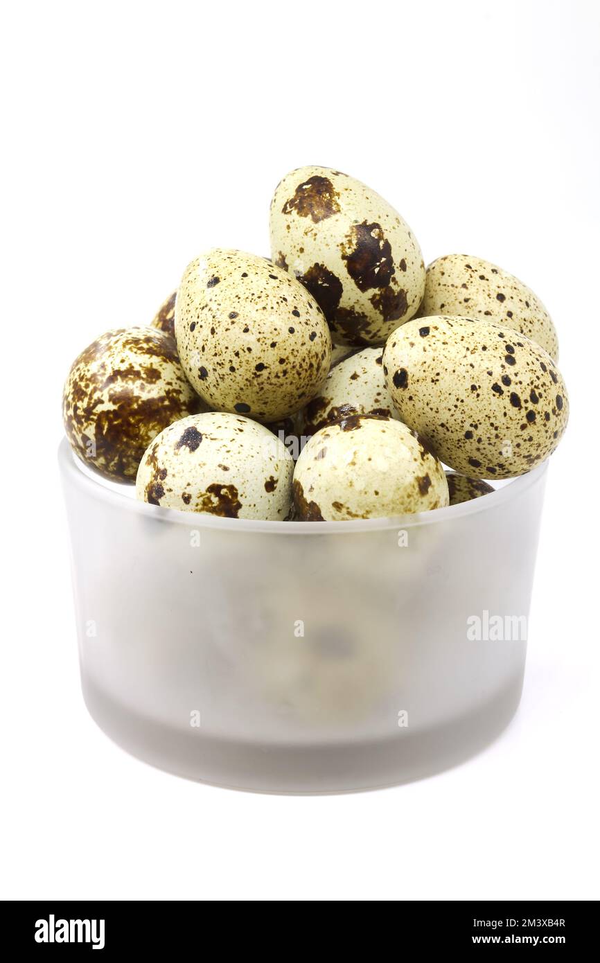 Quail eggs in a group, a delicacy with great taste qualities. Selective ...