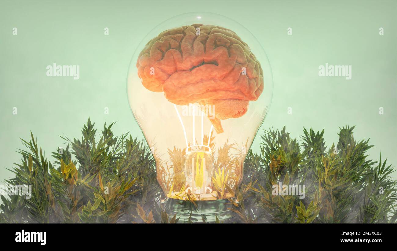 A brain inside a light bulb, on a tiny forest Stock Photo - Alamy