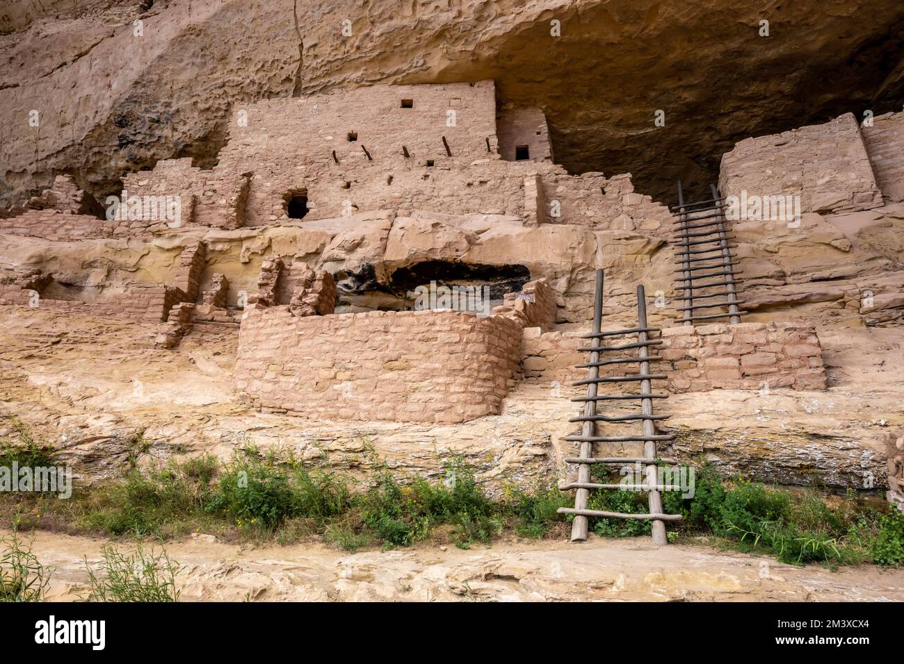 Ladders Connect Levels of the Long House Cliff Dwelling in Mesa Verde ...