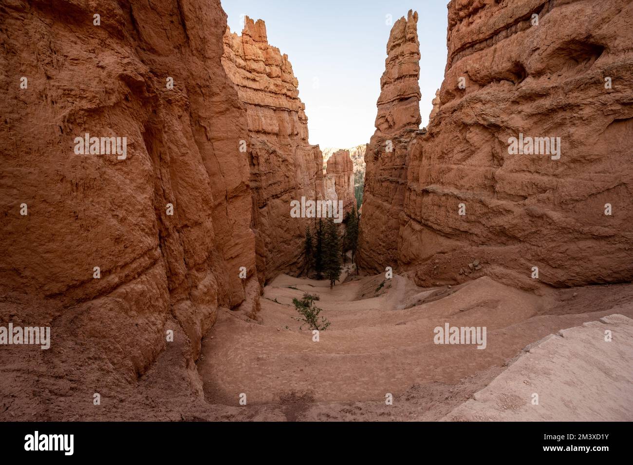 Layers of Switchbacks Down The Navajo Loop Trail in Bryce Canyon ...