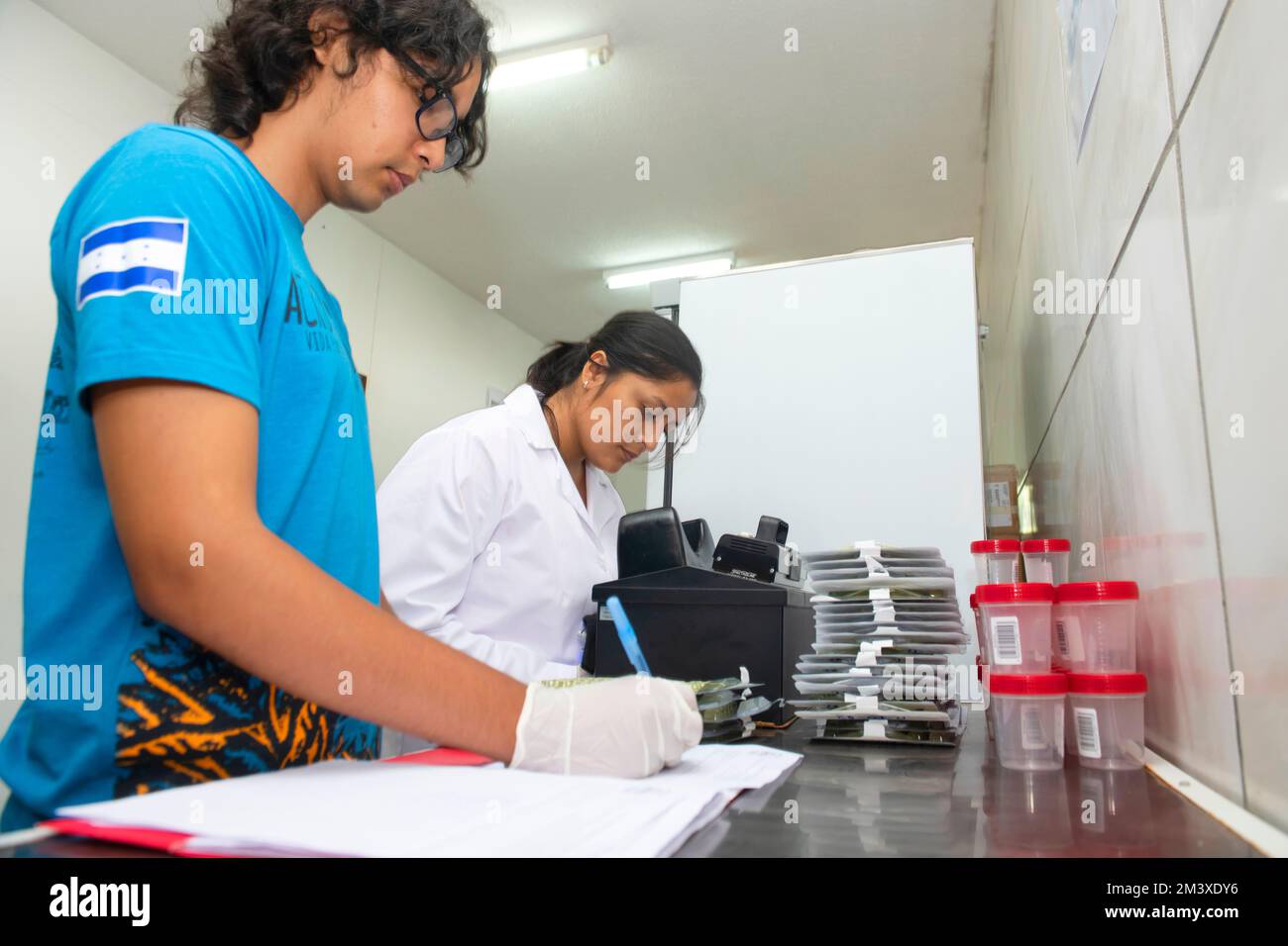 Analyzing medical data doctor in hi-res stock photography and images ...