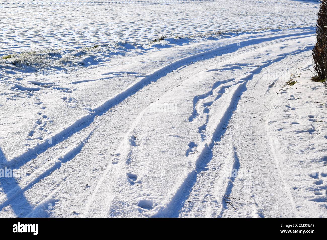 deep tire tracks in snow Stock Photo - Alamy