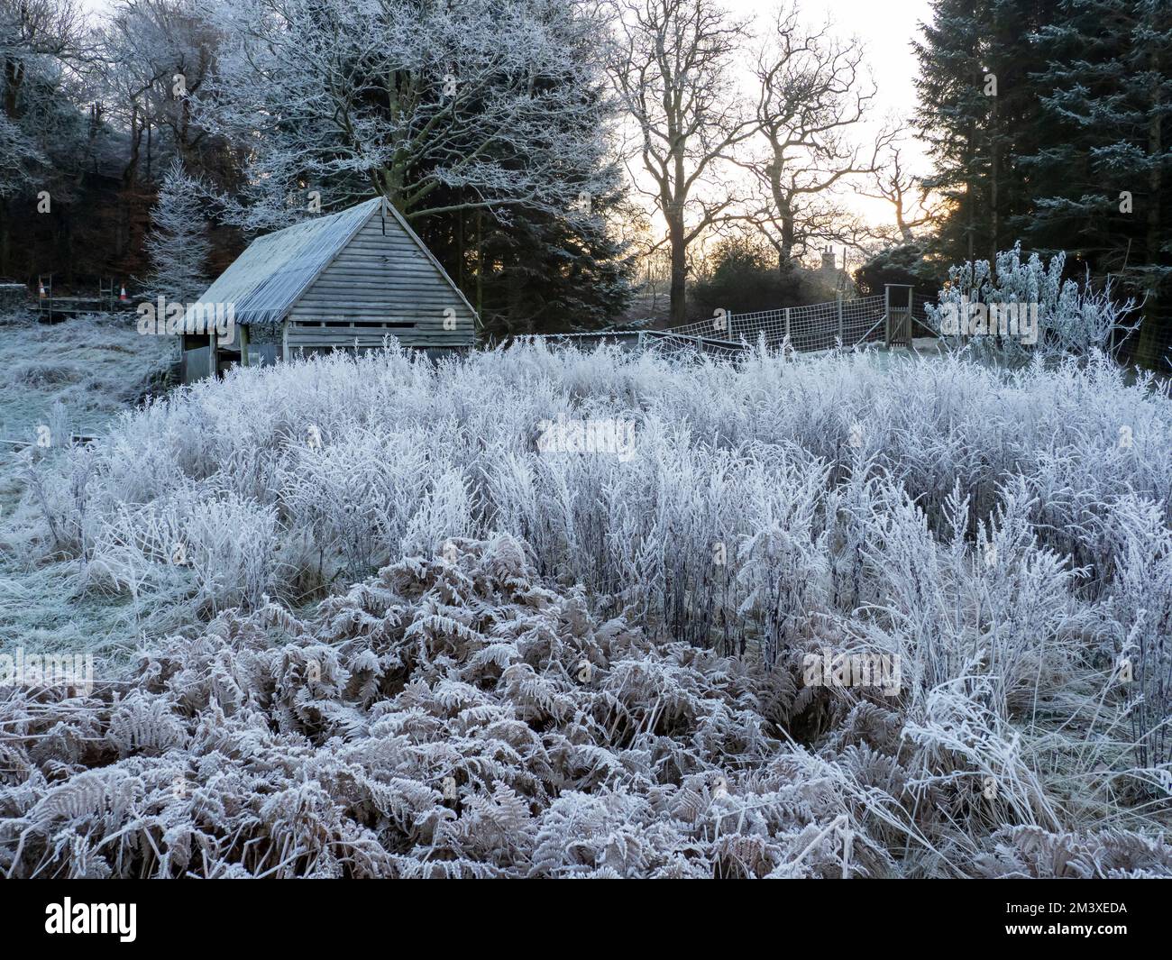A heavy hoar frost in the Langdale valley at Clappersgate, Lake ...