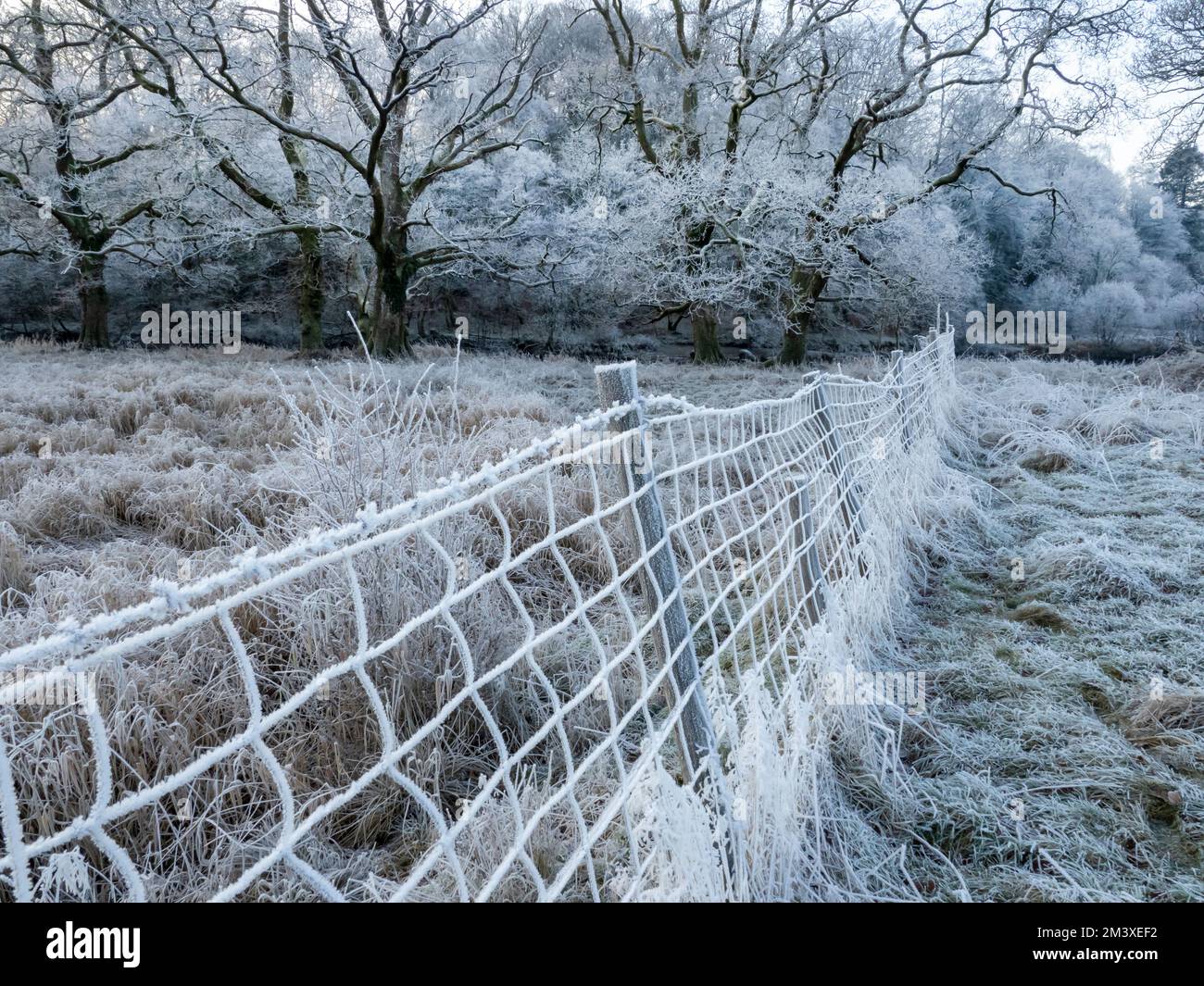 A heavy hoar frost on a fence in the Langdale valley at Clappersgate ...