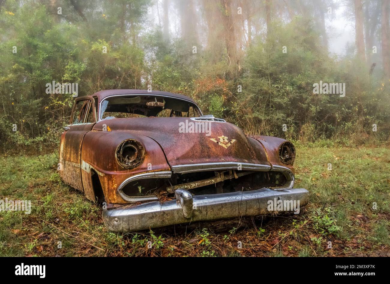 Old rusted abandoned cars and trucks on a foggy day in Crawfordville ...