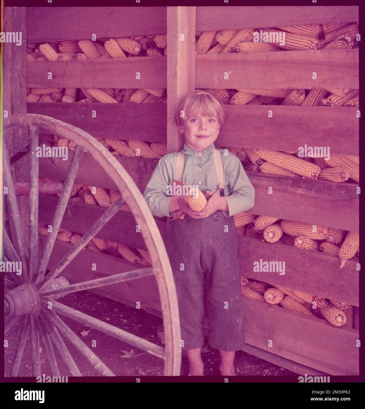 Bible Pix - Amish Color, Toni Frissell, Antoinette Frissell Bacon ...