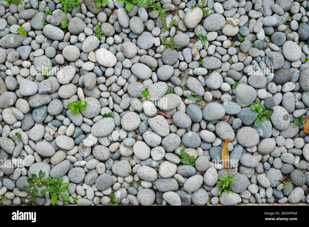 overhead view of Round rock textures Stock Photo - Alamy