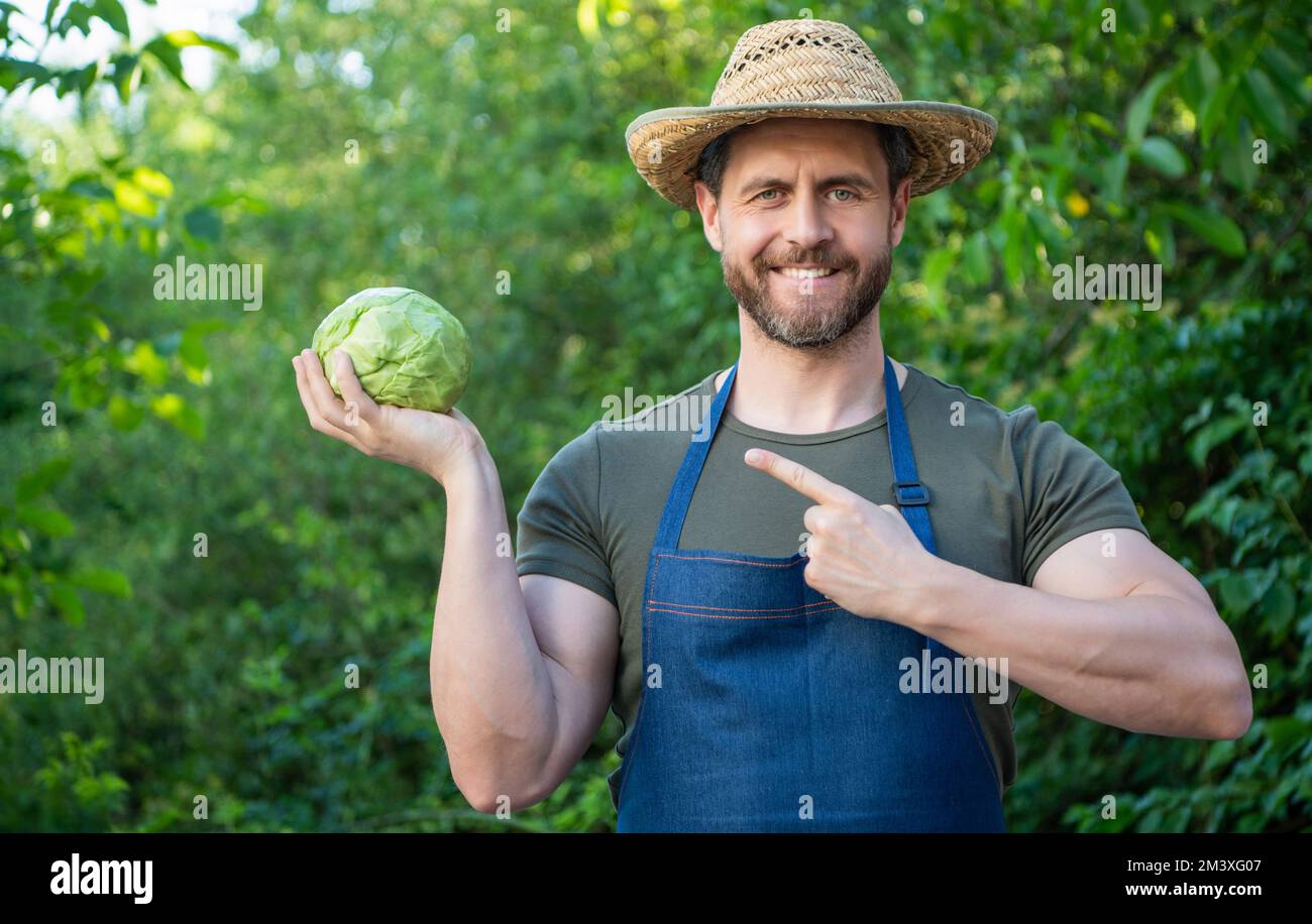 man greengrocer in straw hat point finger on cabbage vegetable Stock ...