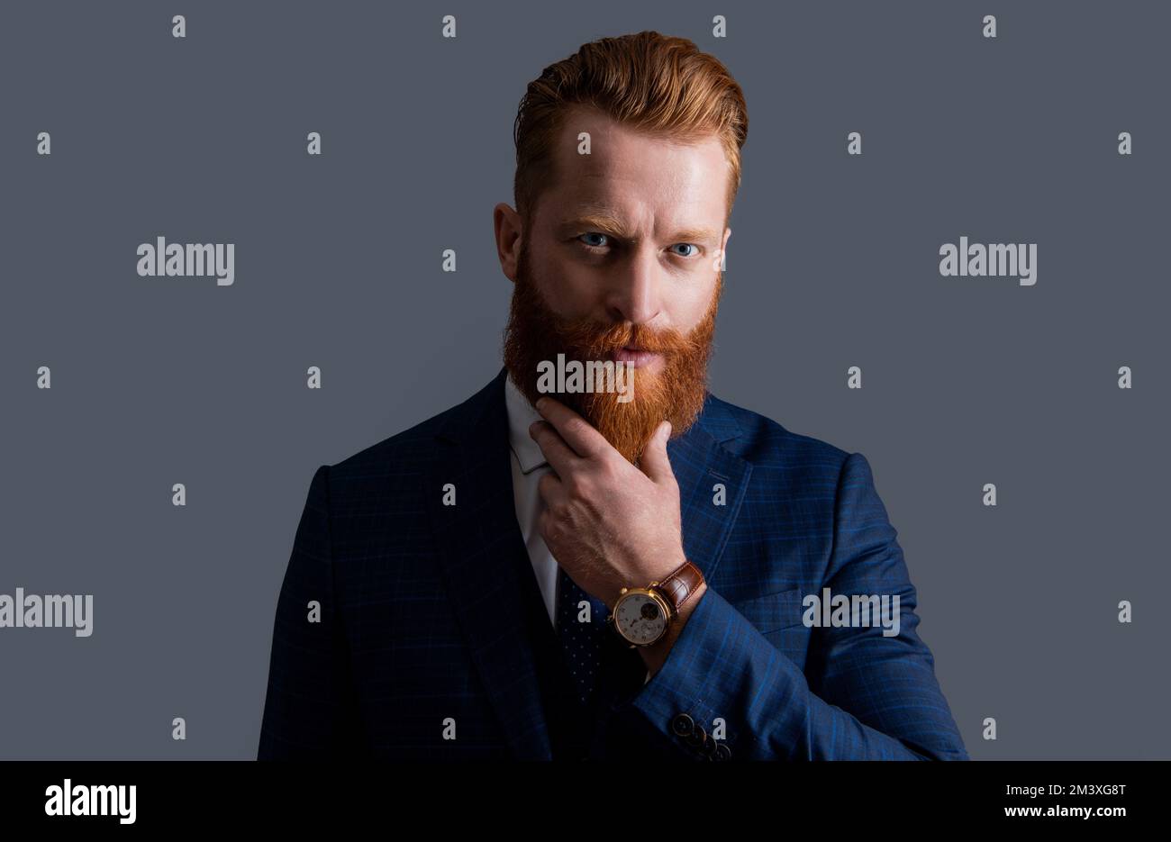 face of business ceo in suit isolated on grey background. business ceo ...