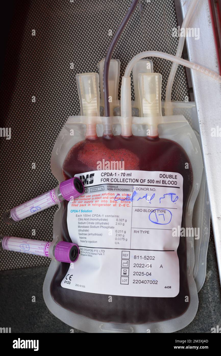 Cairo, Egypt, December 15 2022: blood bag and blood samples collected ...