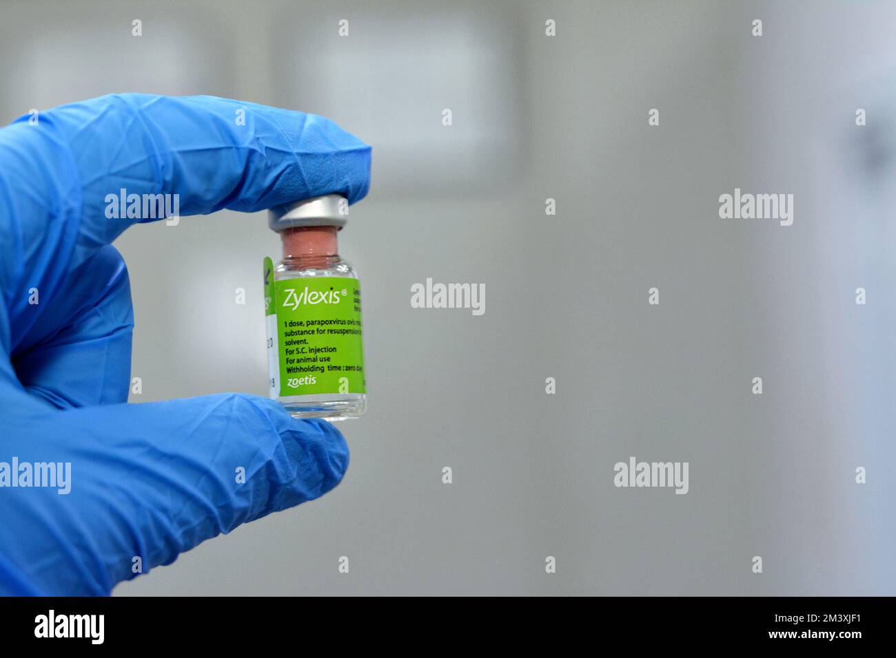 Cairo, Egypt, December 8 2022: Zylexis vaccine for prevention and ...