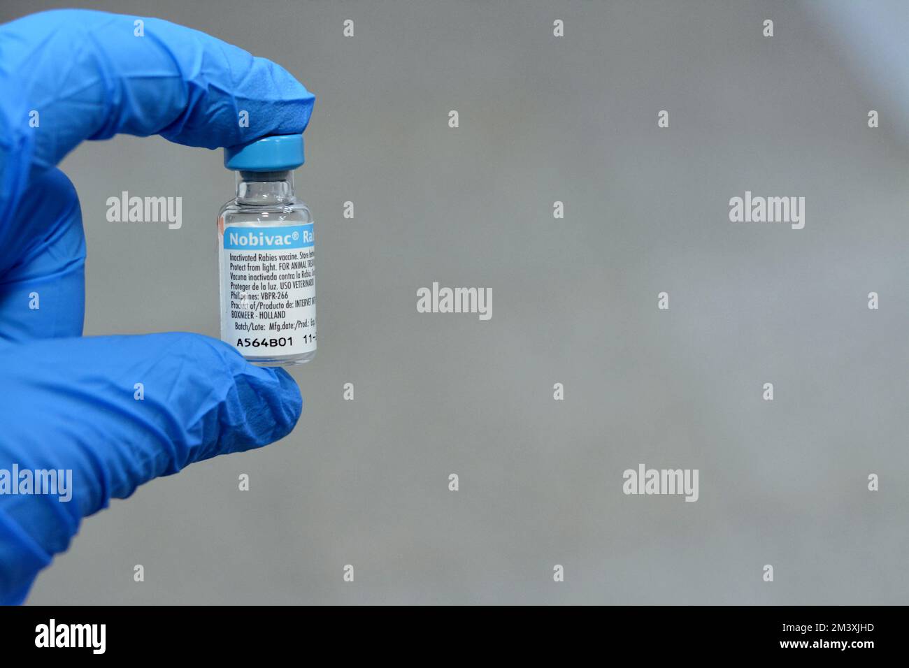 Cairo, Egypt, December 8 2022: Nobivac Rabies stable inactivated ...