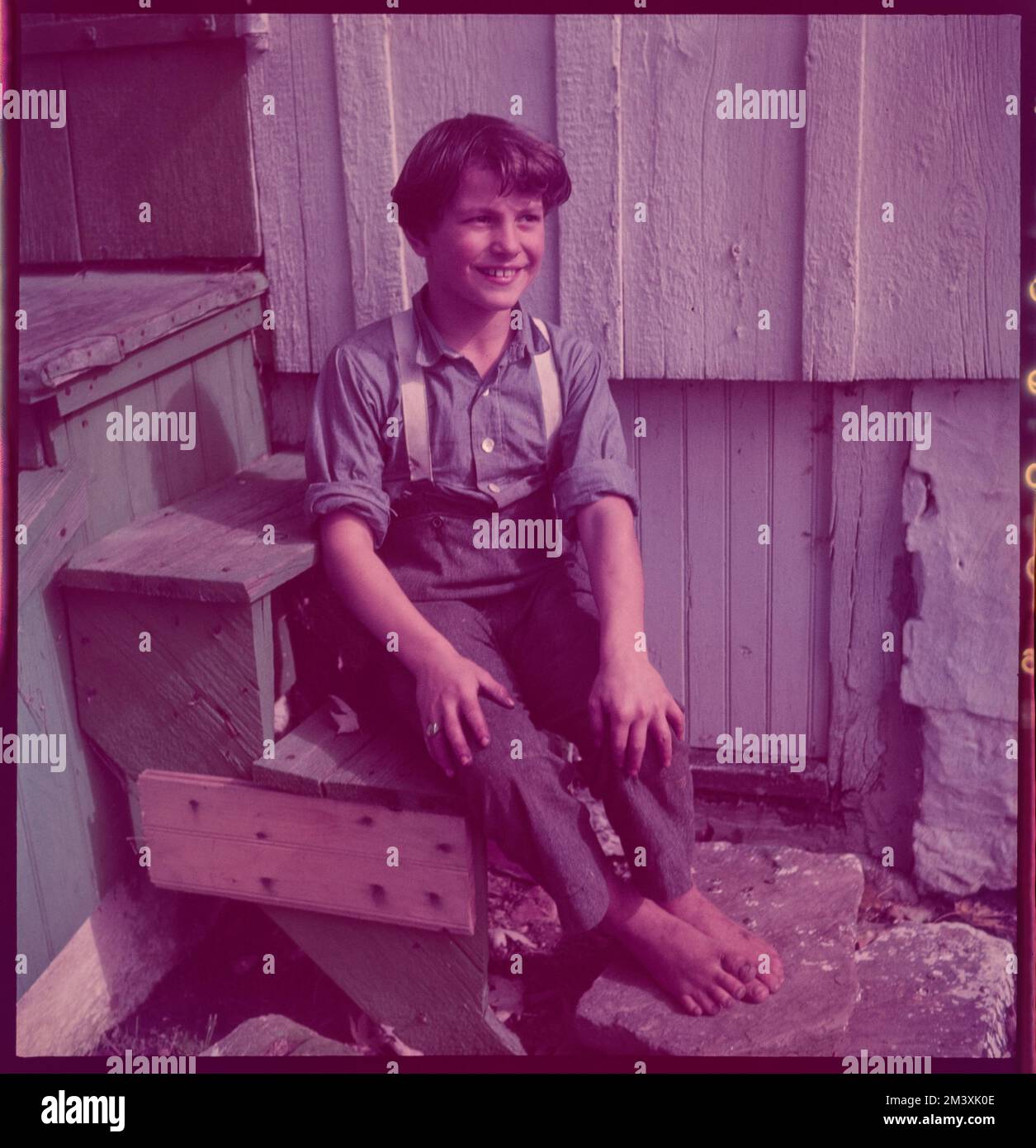 Harvest Color - Amish, Toni Frissell, Antoinette Frissell Bacon ...