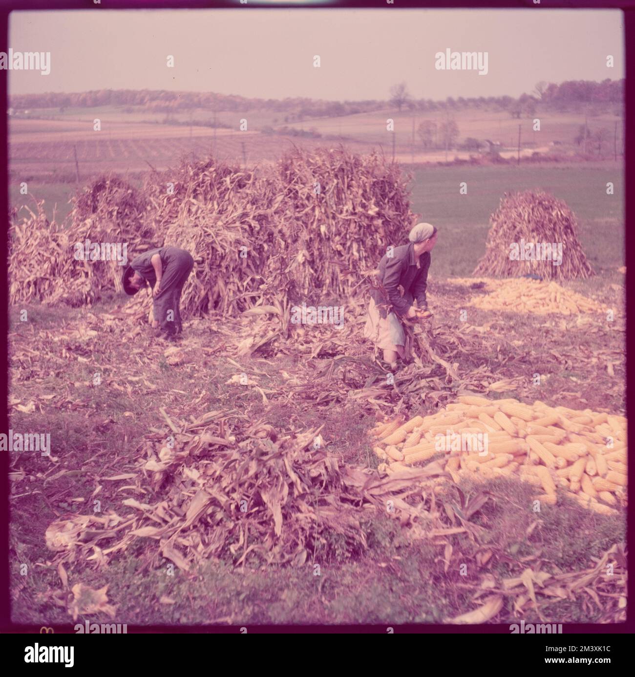 Bible Pix - Amish Color, Toni Frissell, Antoinette Frissell Bacon ...