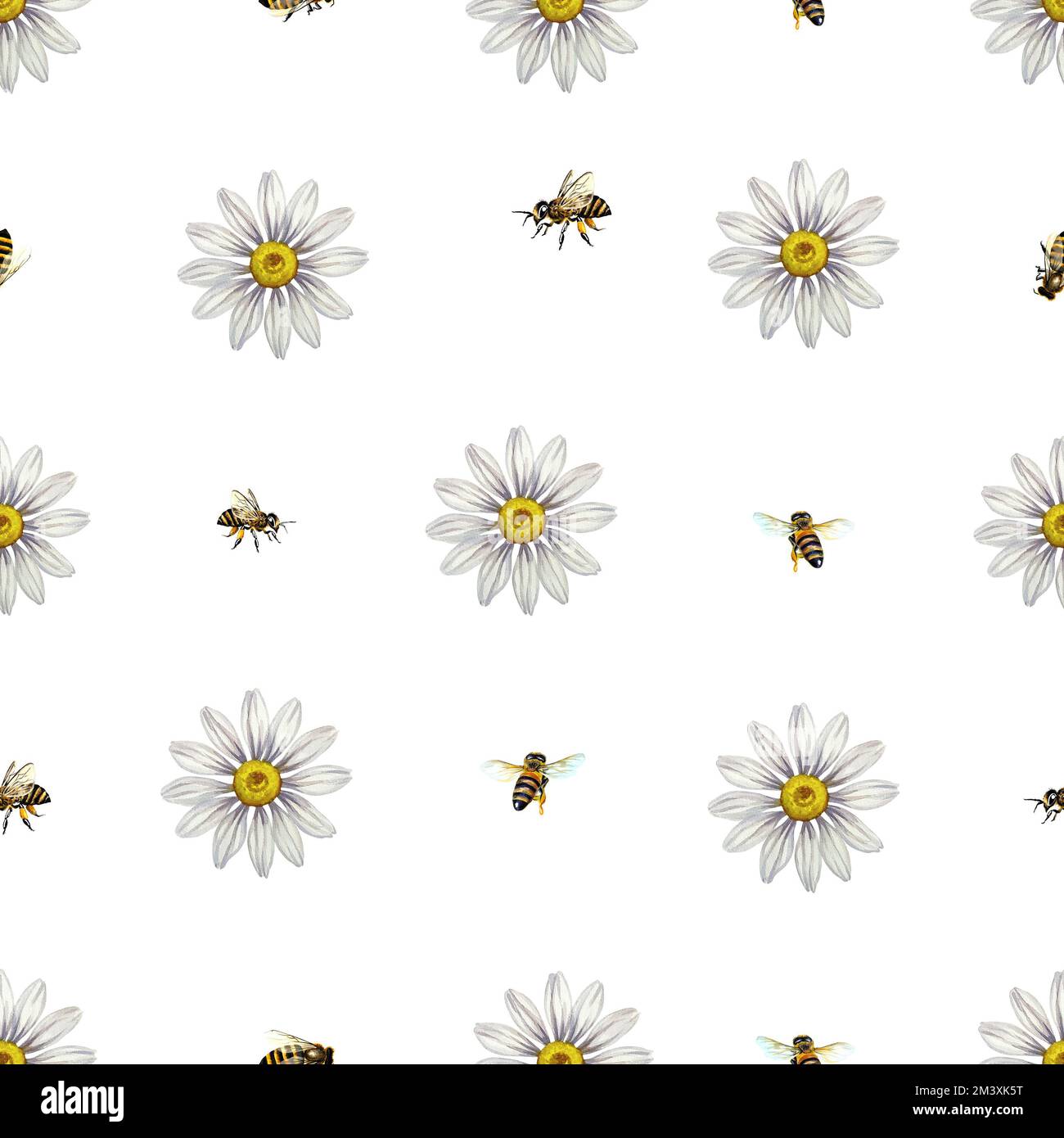 Seamless pattern with daisies and bees. Watercolor illustration. For ...