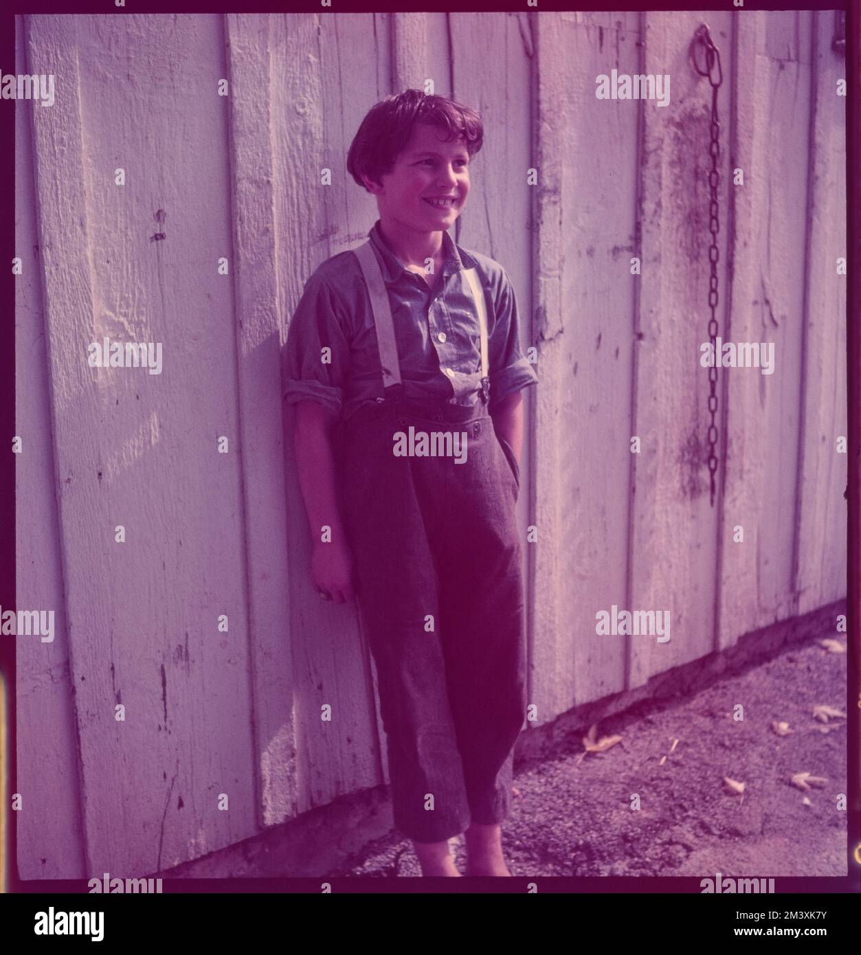 Harvest Color - Amish, Toni Frissell, Antoinette Frissell Bacon ...