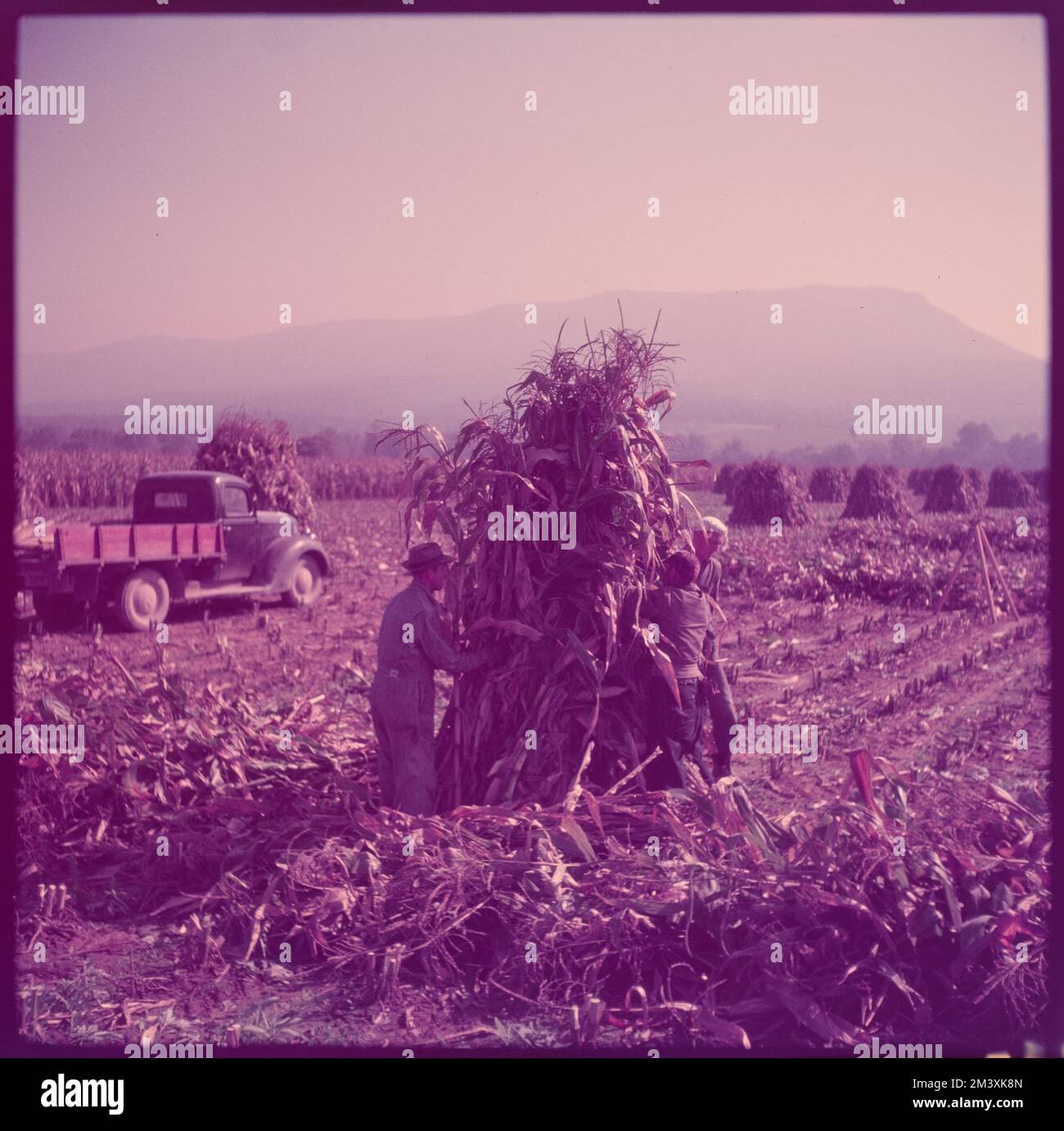 Harvest Color - Amish, Toni Frissell, Antoinette Frissell Bacon ...