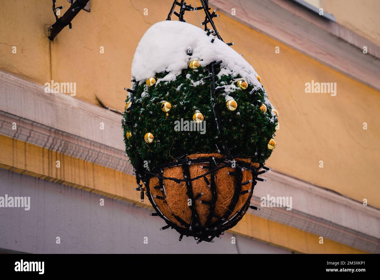 Christmas in Vilnius. Building decorated with snow covered Christmas ...