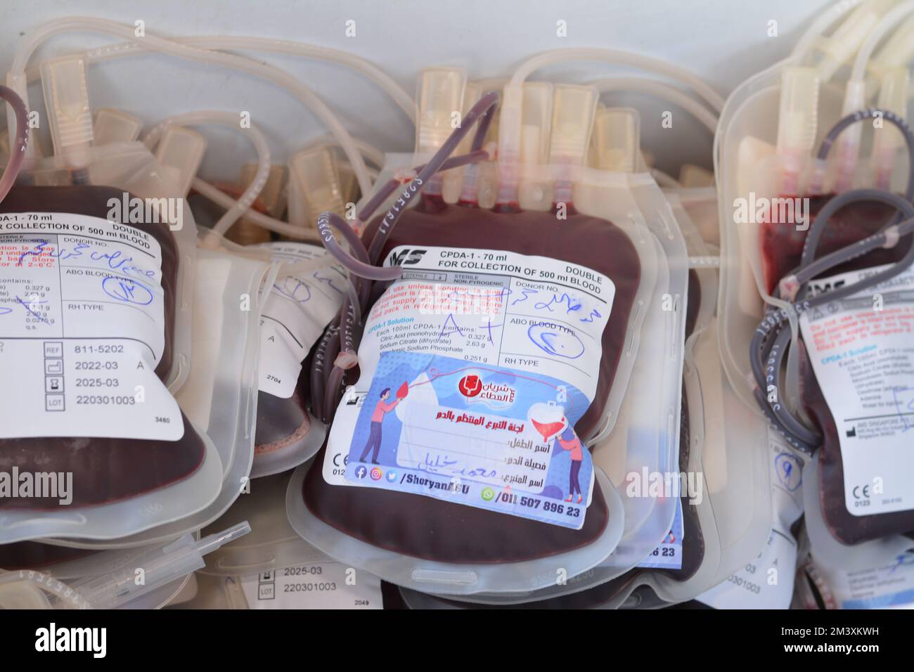 Cairo, Egypt, December 13 2022: blood bags from donors with different ...