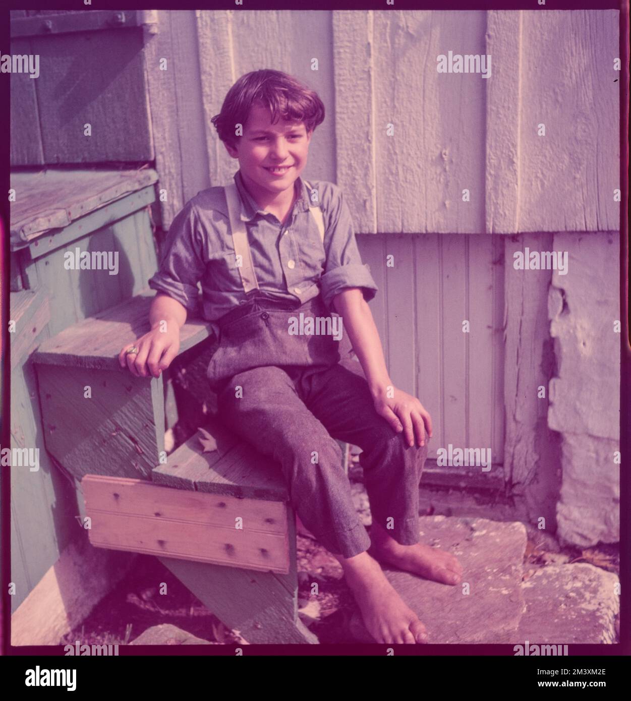 Harvest Color - Amish, Toni Frissell, Antoinette Frissell Bacon ...