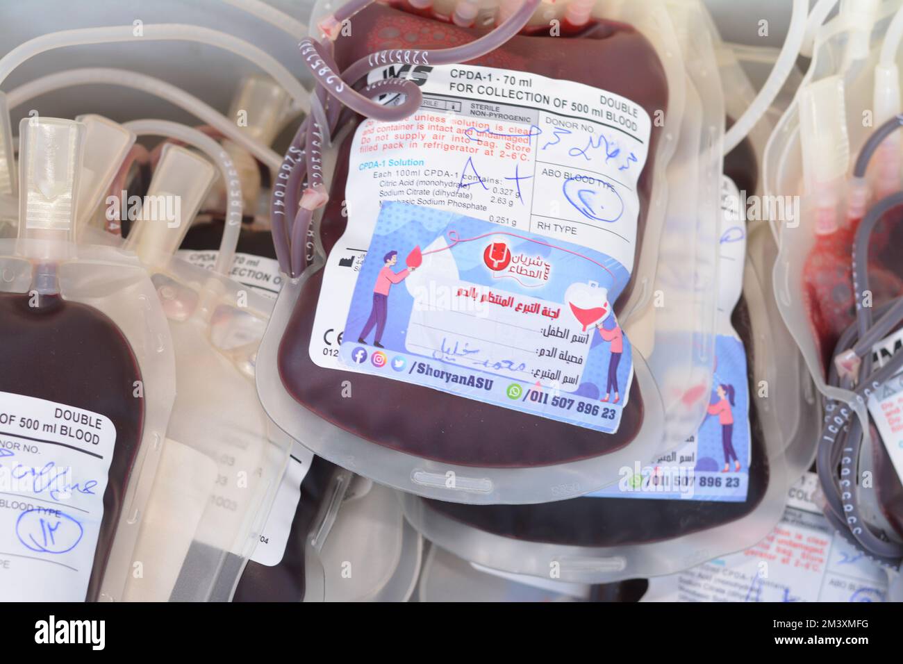 Cairo, Egypt, December 13 2022: blood bags from donors with different ...