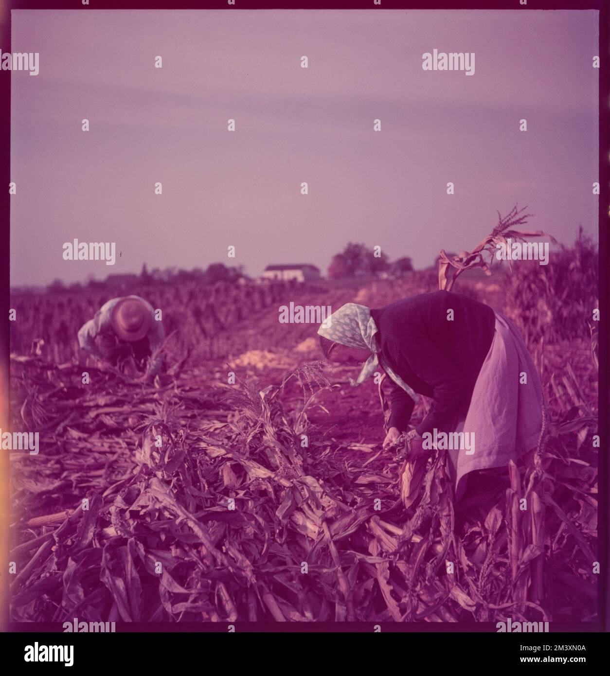 Bible Pix - Amish Color, Toni Frissell, Antoinette Frissell Bacon ...