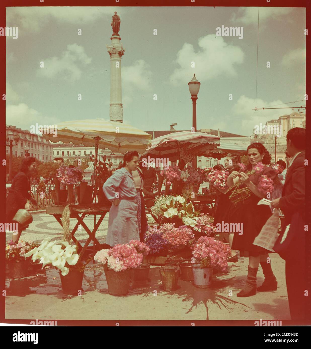 Portugal, flower market, Toni Frissell, Antoinette Frissell Bacon ...