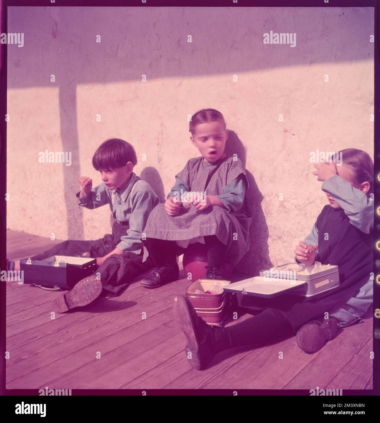 Harvest Color - Amish, Toni Frissell, Antoinette Frissell Bacon ...